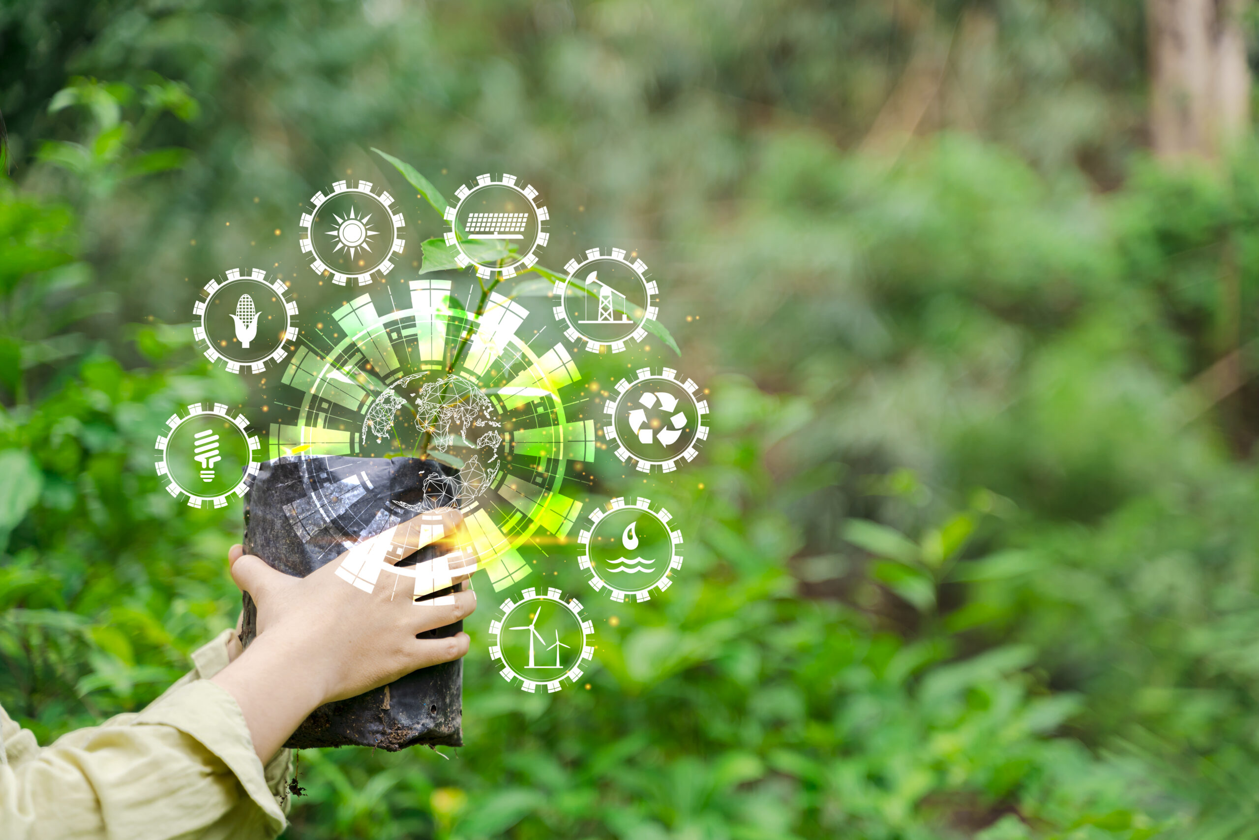 What are green skills and which sectors are hiring for them right now ...